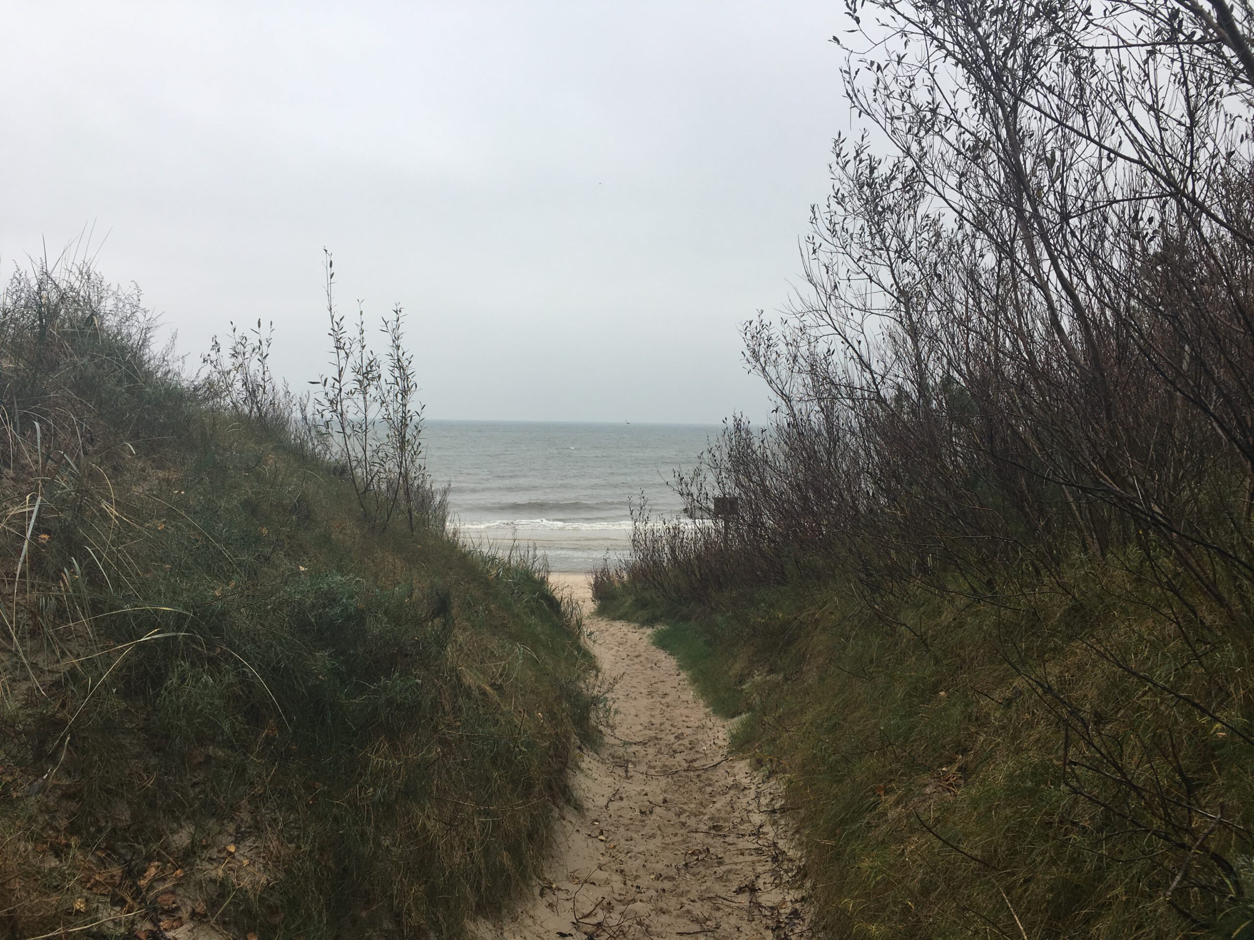 Tag 3 Kolobrzeg Wald Kurz Vor Mlynary Kurs 90